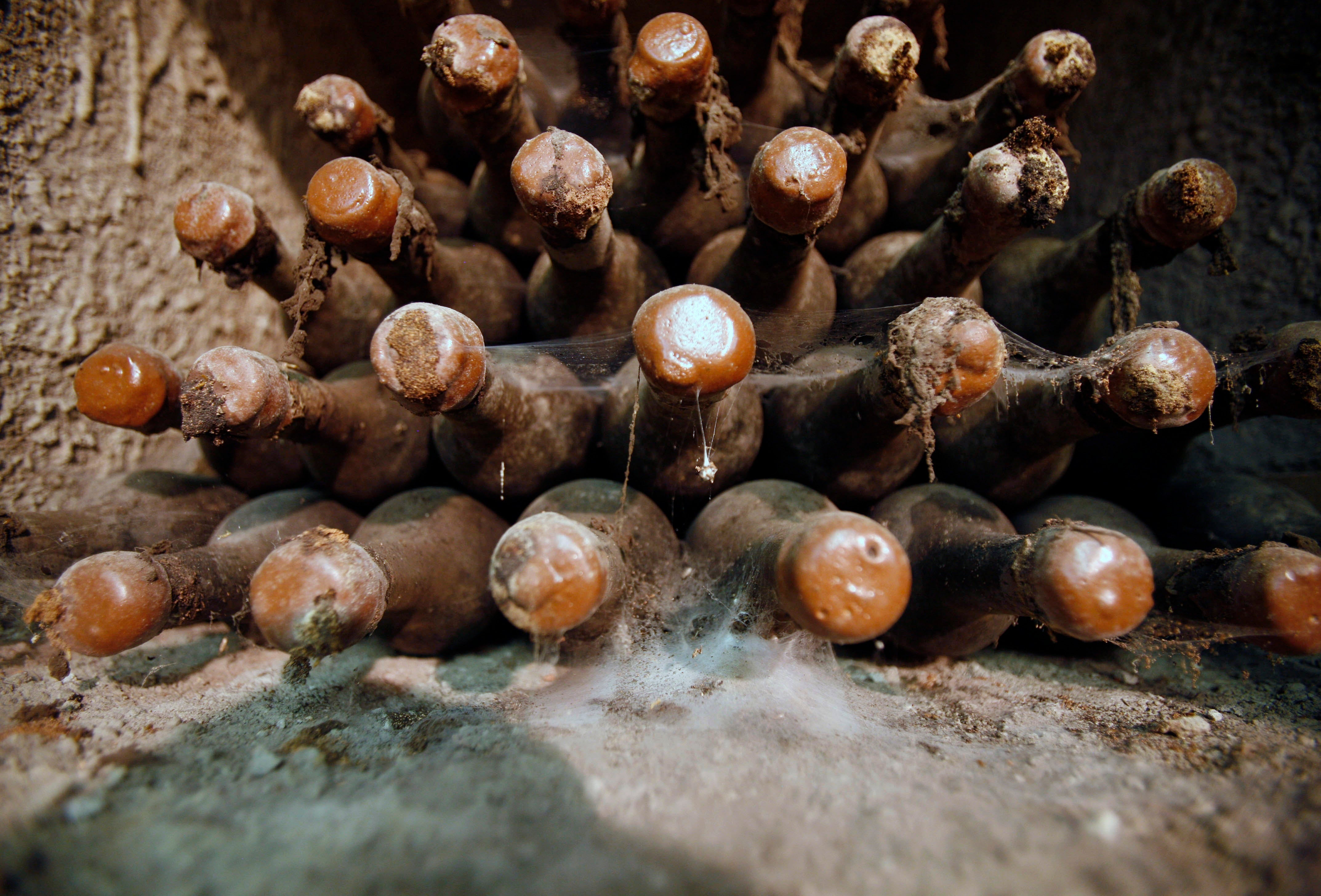 What Happens as Wine Ages – Last Bottle Wines